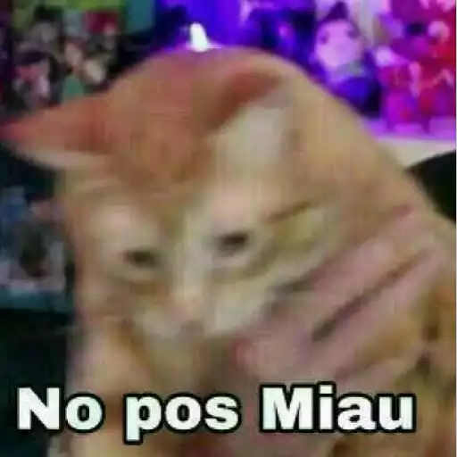 No pos Miau Sticker de WhatsApp - DescargarStickers