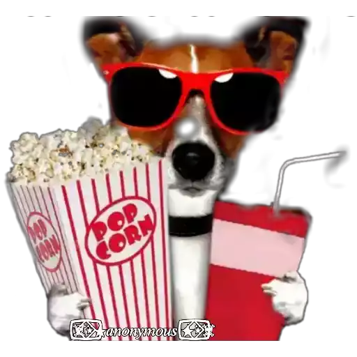 Sticker #857321 PNG transparente - Descargar Stickers