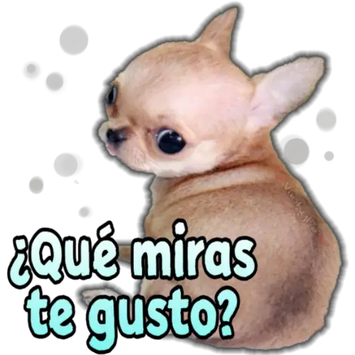 ¿Qué miras te gusto? Sticker de WhatsApp - DescargarStickers