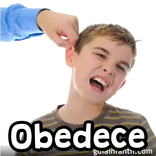 Obedece Sticker de WhatsApp - DescargarStickers