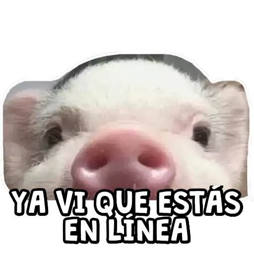 Ya vi que estás en línea Sticker de WhatsApp - DescargarStickers