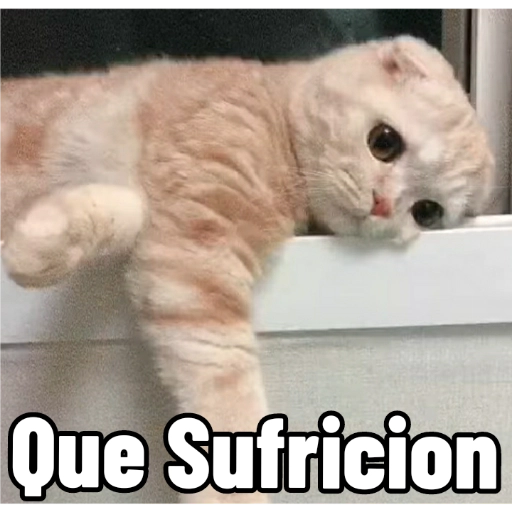 Que Sufricion Sticker de WhatsApp - DescargarStickers