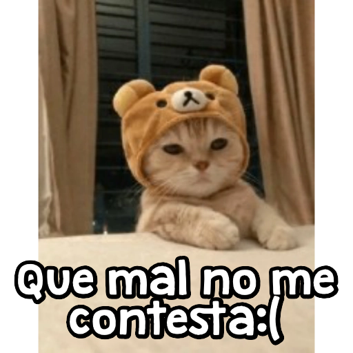 Que mal no me contesta:( Sticker de WhatsApp - DescargarStickers