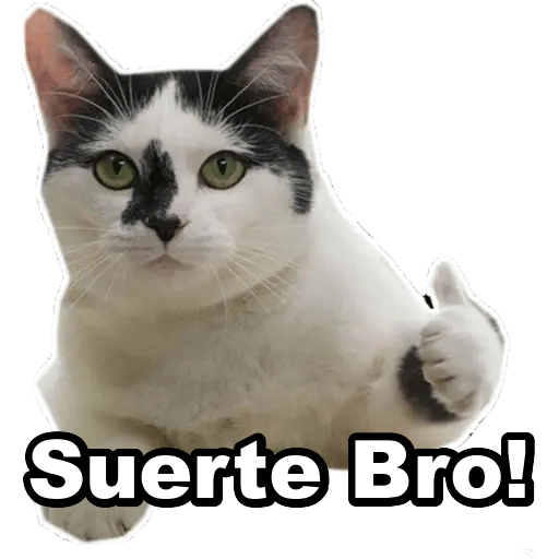 Sticker Suerte Bro! PNG - DescargarStickers