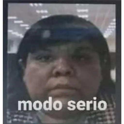 Modo serio Sticker de WhatsApp - DescargarStickers