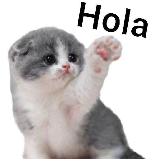 Hola Sticker de WhatsApp - DescargarStickers