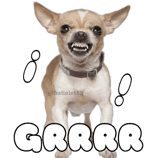 ¡GRRRR! Sticker de WhatsApp - DescargarStickers