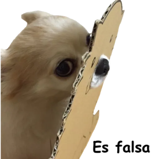 Es falsa Sticker de WhatsApp - DescargarStickers