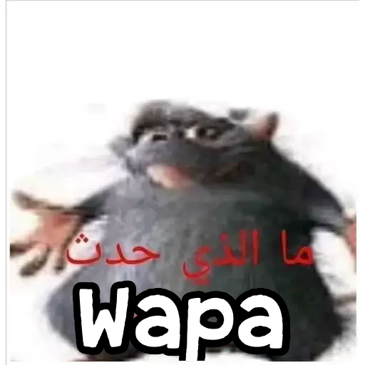 Wapa Sticker de WhatsApp - DescargarStickers