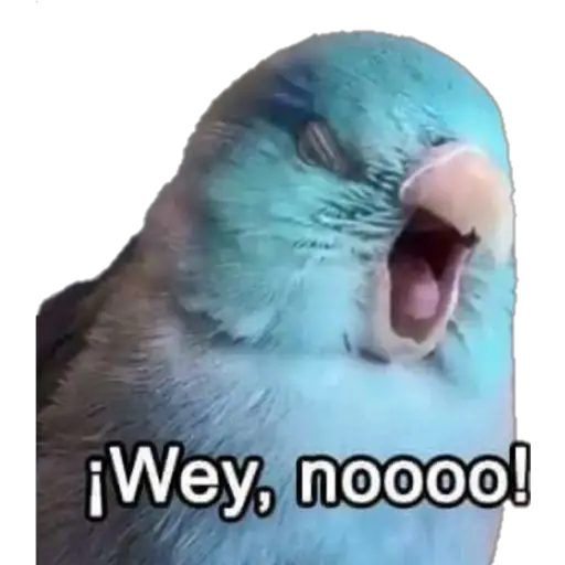 ¡Wey, noooo! PNG transparente - Descargar Stickers