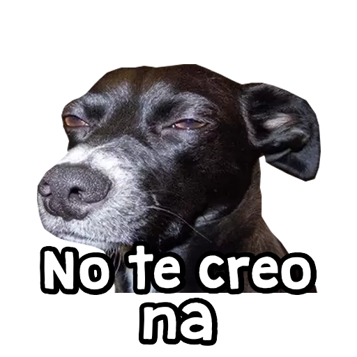 No te creo na Sticker de WhatsApp - DescargarStickers