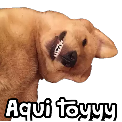 Aqui toyyy Sticker de WhatsApp - DescargarStickers