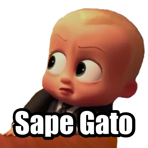 Sape Gato Sticker de WhatsApp - DescargarStickers