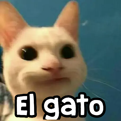 El gato Sticker de WhatsApp - DescargarStickers