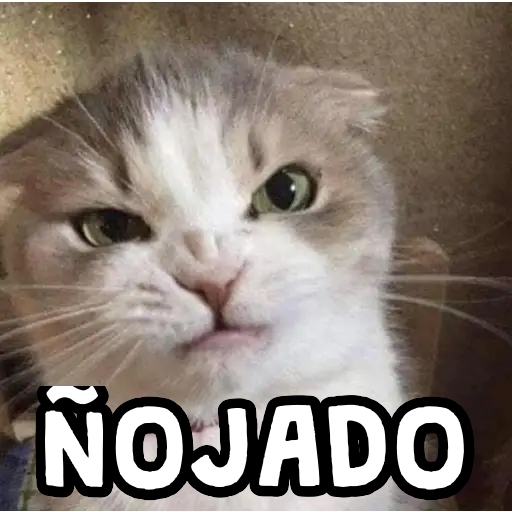 Ñojado Sticker - DescargarStickers