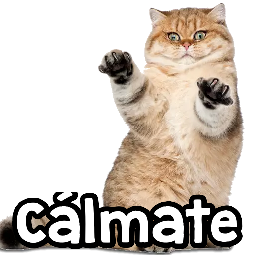 Cálmate Sticker de WhatsApp - DescargarStickers
