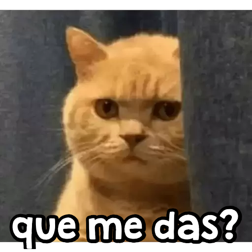 Que me das? Sticker de WhatsApp - DescargarStickers