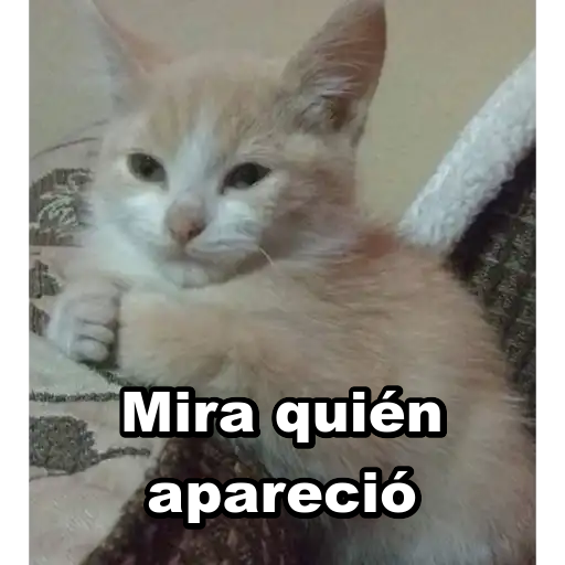 Mira quién apareció #2391938 Sticker de WhatsApp - DescargarStickers